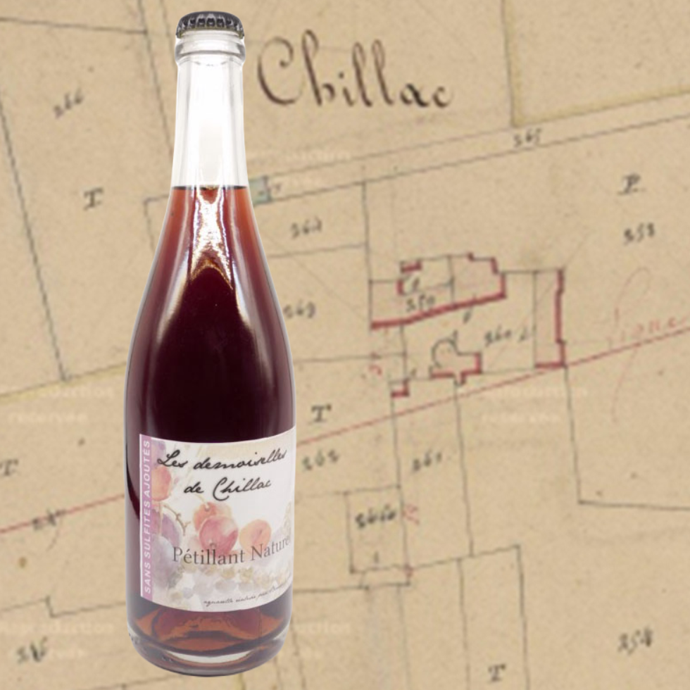 Pétillant Naturel Pet' Nat' 2020 – Vin de France Biologique - Chateau ...